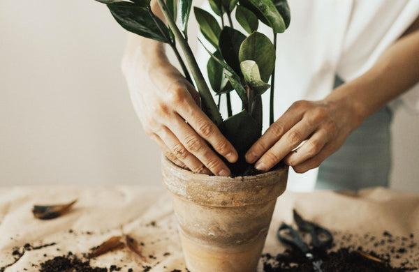 Using Six-Word Memoirs for Self-Growth – Mål Paper